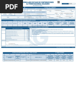 Plantilla de Autodeterminación TSS | PDF | Salario | Business