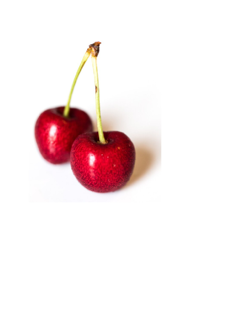 Cherry | PDF