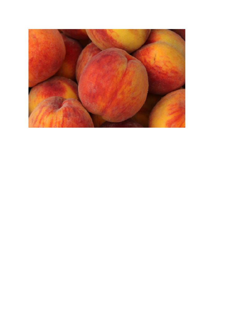 Peach | PDF