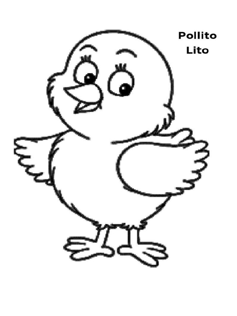 Pollito Lito | PDF