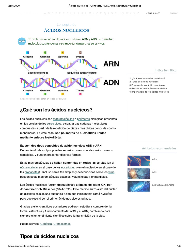 Ácidos Nucleicos - Concepto, ADN, ARN, Estructura y Funciones-Lectura 14 | PDF | Ácidos ...
