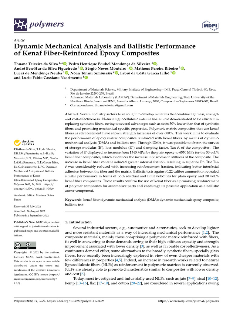 Polymers | PDF | Composite Material | Young's Modulus