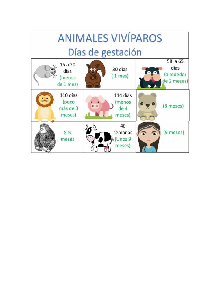 Animales Viviparos | PDF