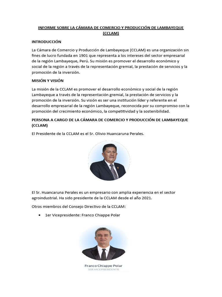 Informe sobre la CCLAM y su impacto | PDF | Business | Mercado (economía)