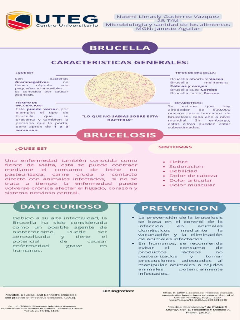 Infografia Brucella | PDF | Enfermedades y trastornos | Especialidades Medicas