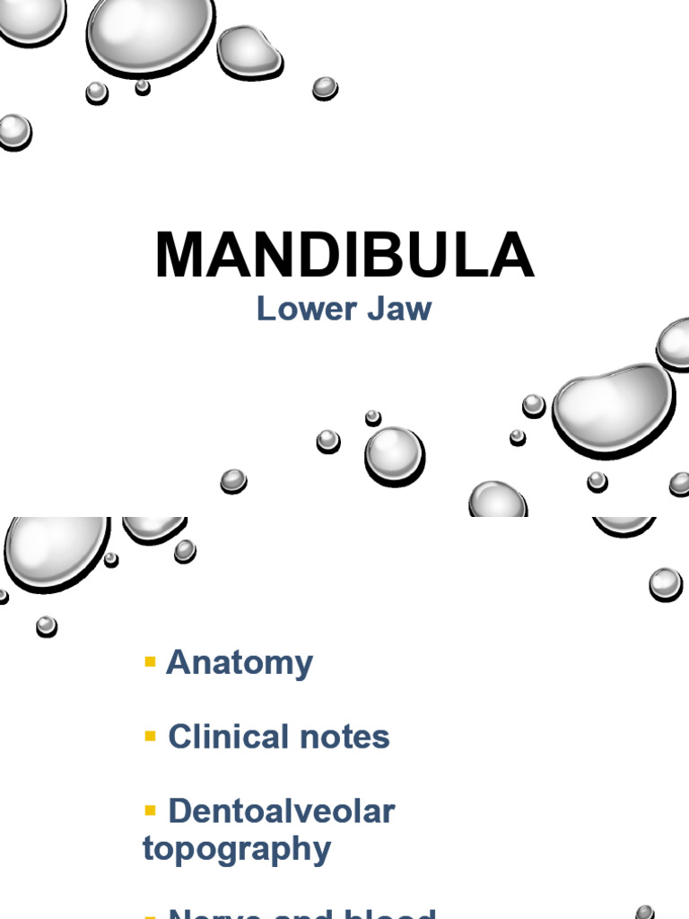 Mandibula | PDF | Dental Anatomy | Mouth
