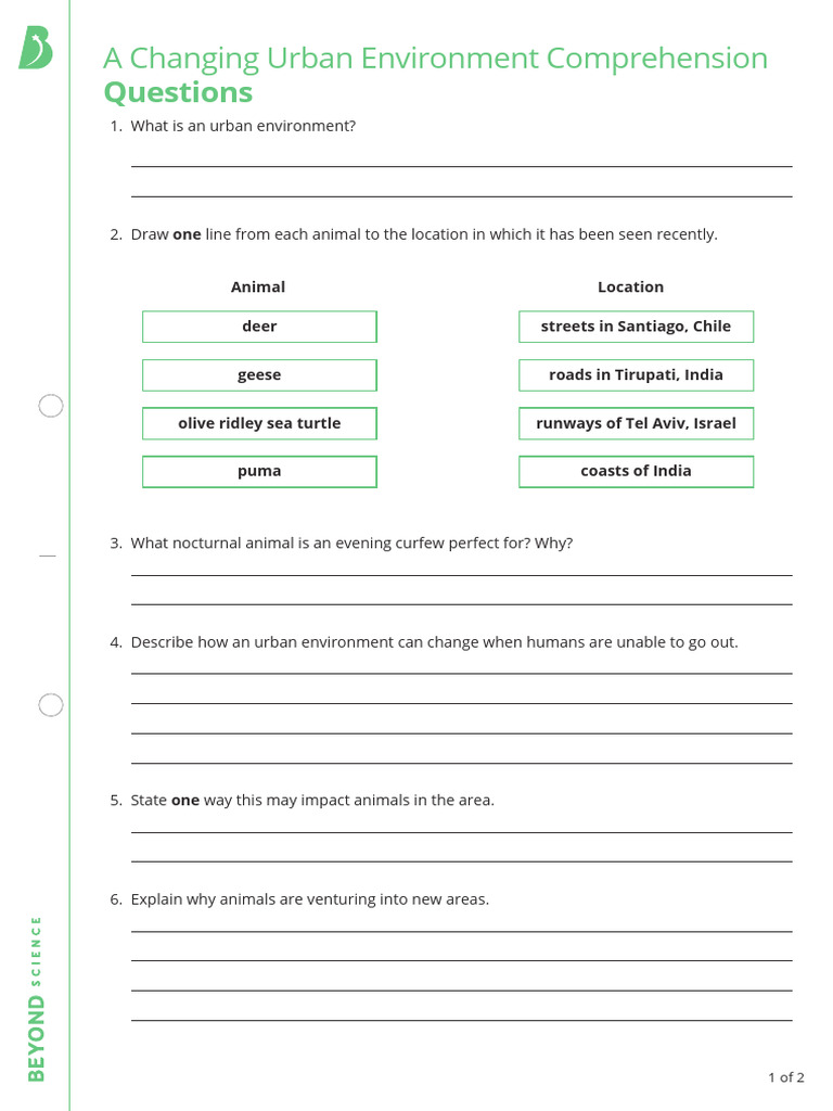A Changing Urban Environment Reading Comprehension Questions | PDF ...