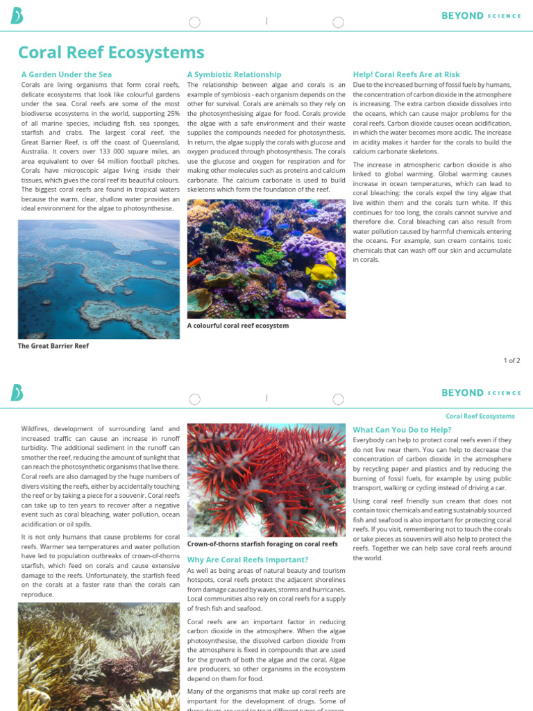Coral Reef Ecosystem Reading Comprehension | PDF | Coral Reef | Coral