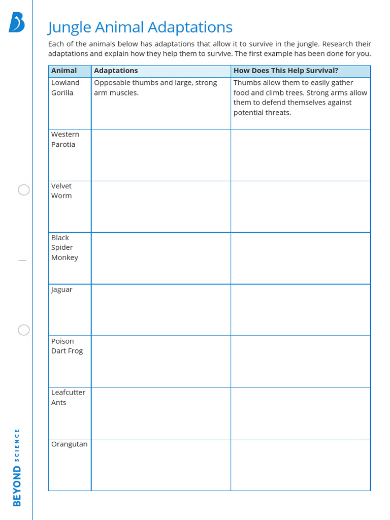 Jungle Animal Adaptations Worksheet | PDF | Ant | Predation
