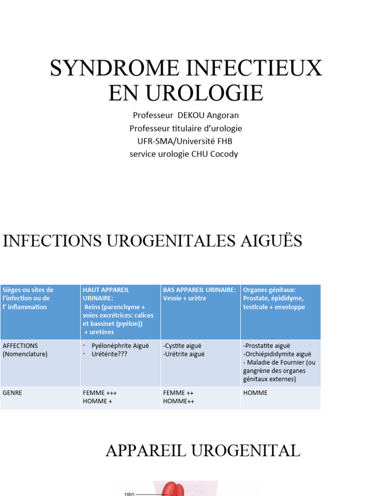 Syndrome Infectieux en Urologie | PDF | Appareil urinaire | Médecine ...