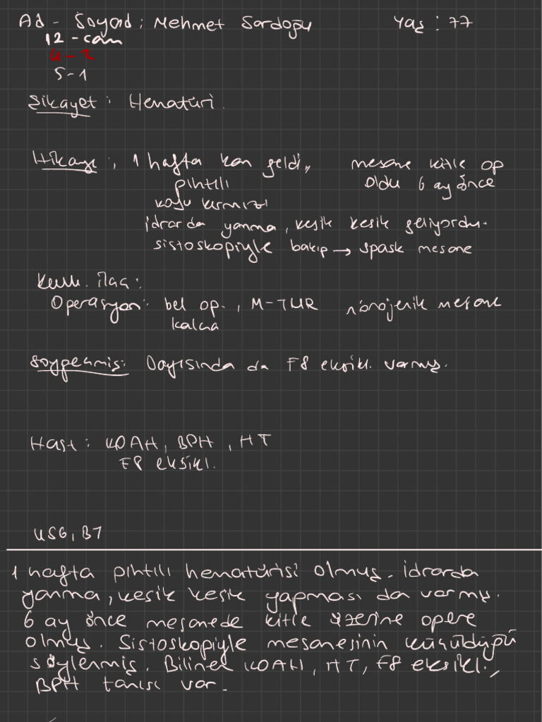 Ad-Soyad; Musa Phar | PDF