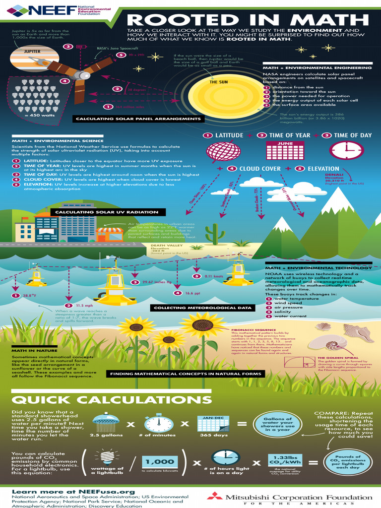 Rootedin Math Infographic FINAL | PDF