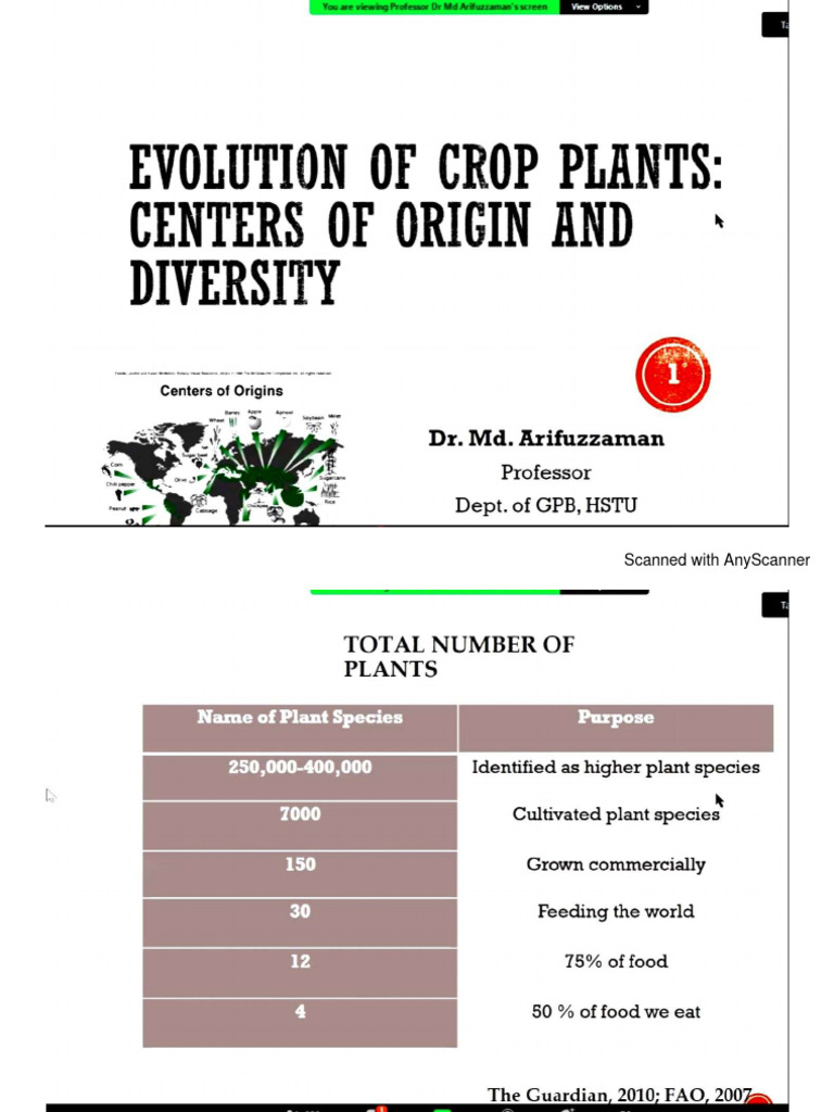 Center of Origin and Their Division | PDF