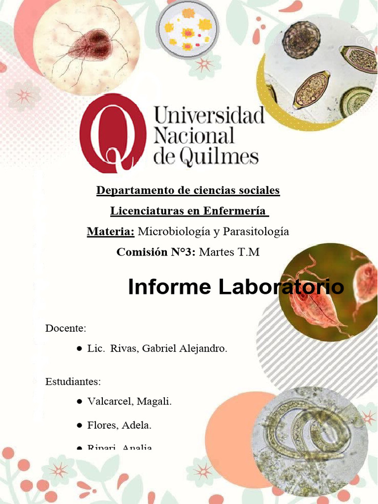 Inf. Lab. - Ripari, A. - Flores, A. - Caratas, E. | PDF