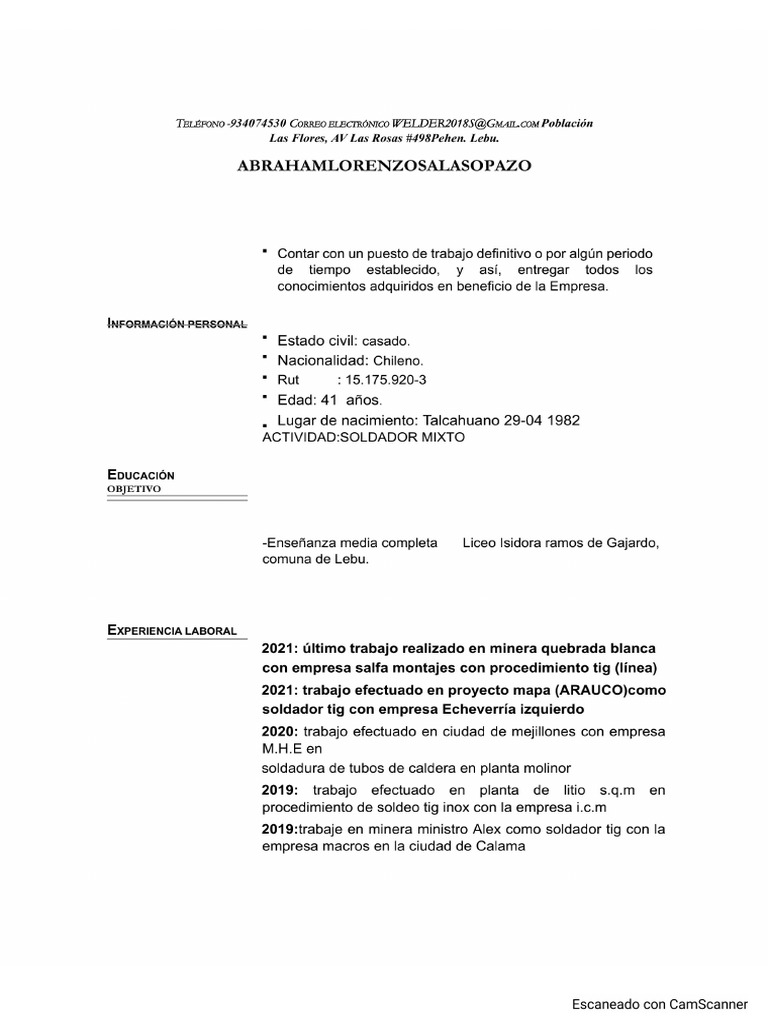 Currículum Abraham Salas 04-2024 | PDF