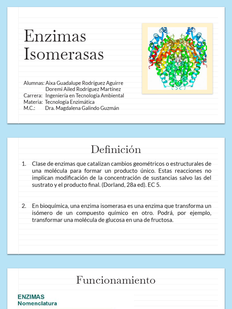 Enzimas isomerasas | Descargar gratis PDF | Enzima | Sustrato (Química)