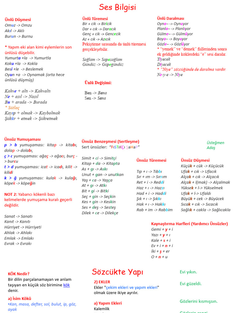 TYT Türkçe Dil Bilgisi Full Notlar | PDF