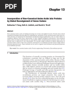 Nano Glo Hibit Lytic Detection System Technical Manual | PDF | Proteins ...