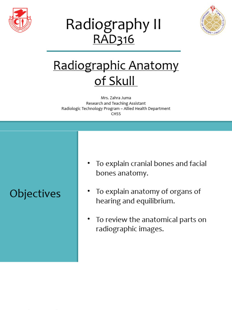 RAD316 - PPT.2 - Skull Anatomy | PDF | Skull | Human Nose