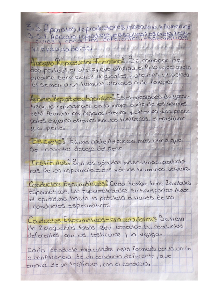 Documentos Escaneados 6 | PDF