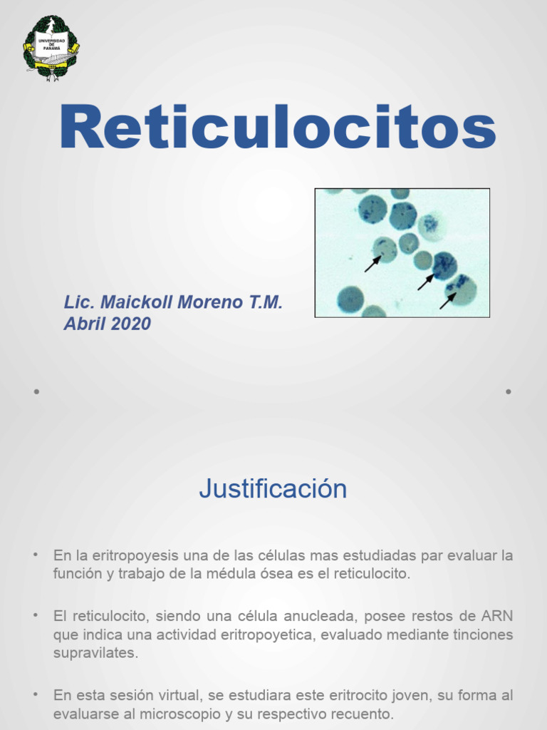 Reticulocitos | PDF | Glóbulo rojo | Sangre