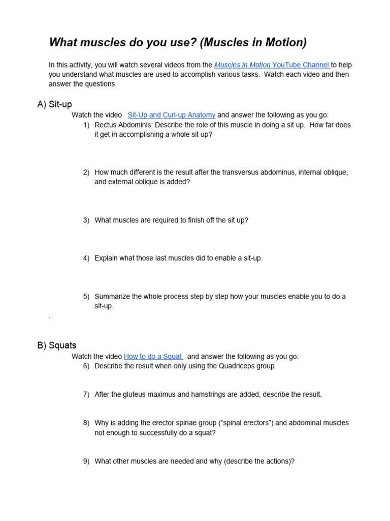 Muscles in Motion | PDF | Soft Tissue | Anatomy