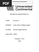 Pictogramas Quimica Final | PDF | Laboratorios | Corrosión