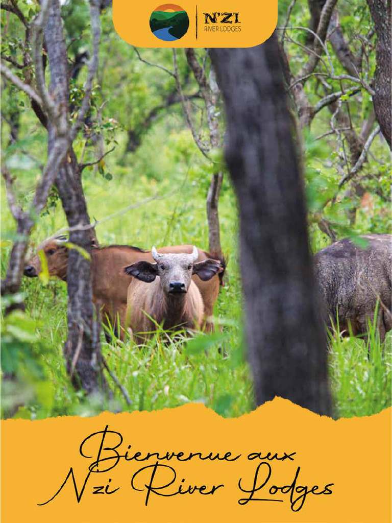 Factsheet NRL 2023-2024 | PDF