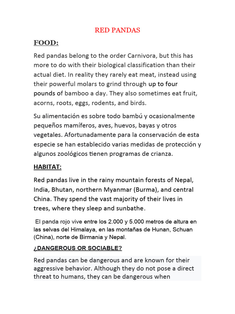 RED PANDAS | PDF | Giant Panda | Zoology