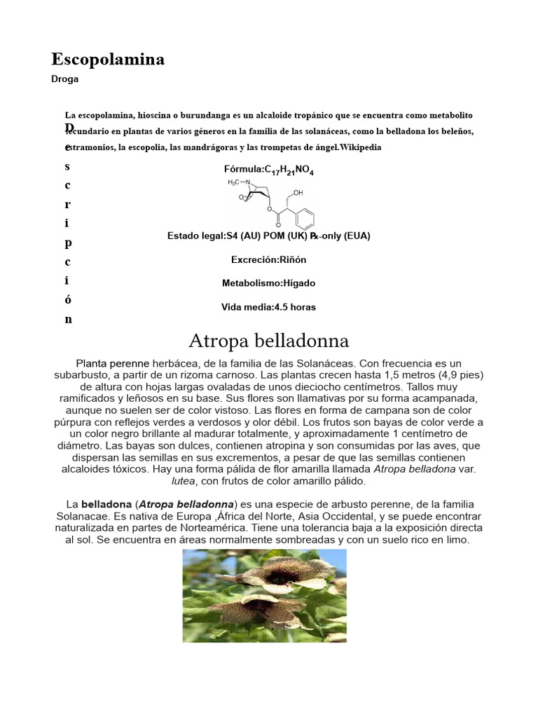 Escopolamina (Formación Química) | PDF | Plantas