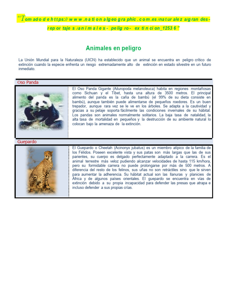 Animales en Peligro: Taje S | PDF | Panda gigante | Zoología