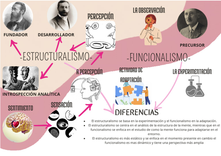 Estructuralismo y Funcionalismo | PDF