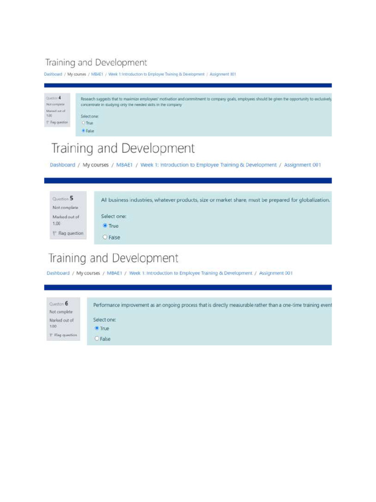 Training & Development - Assignment 1 4 To6 | PDF