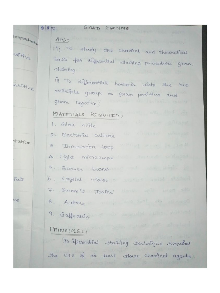 Gram Staining | PDF