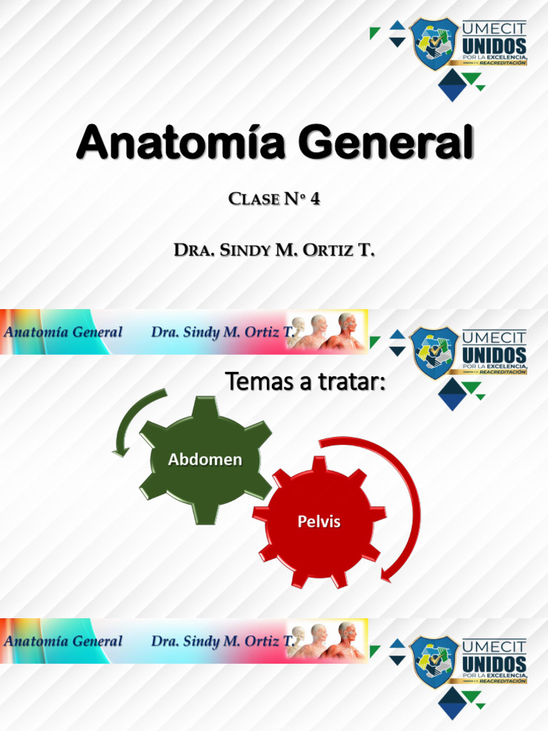 Clase 4 Anat Gen | PDF