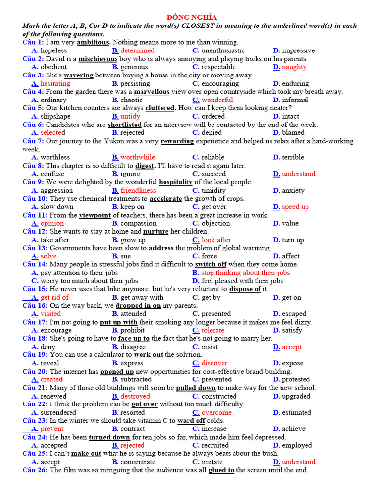 16 - Dong Nghia | PDF