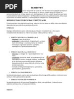 Anatomía del Peritoneo y sus Estructuras | PDF | Abdomen | Peritoneo