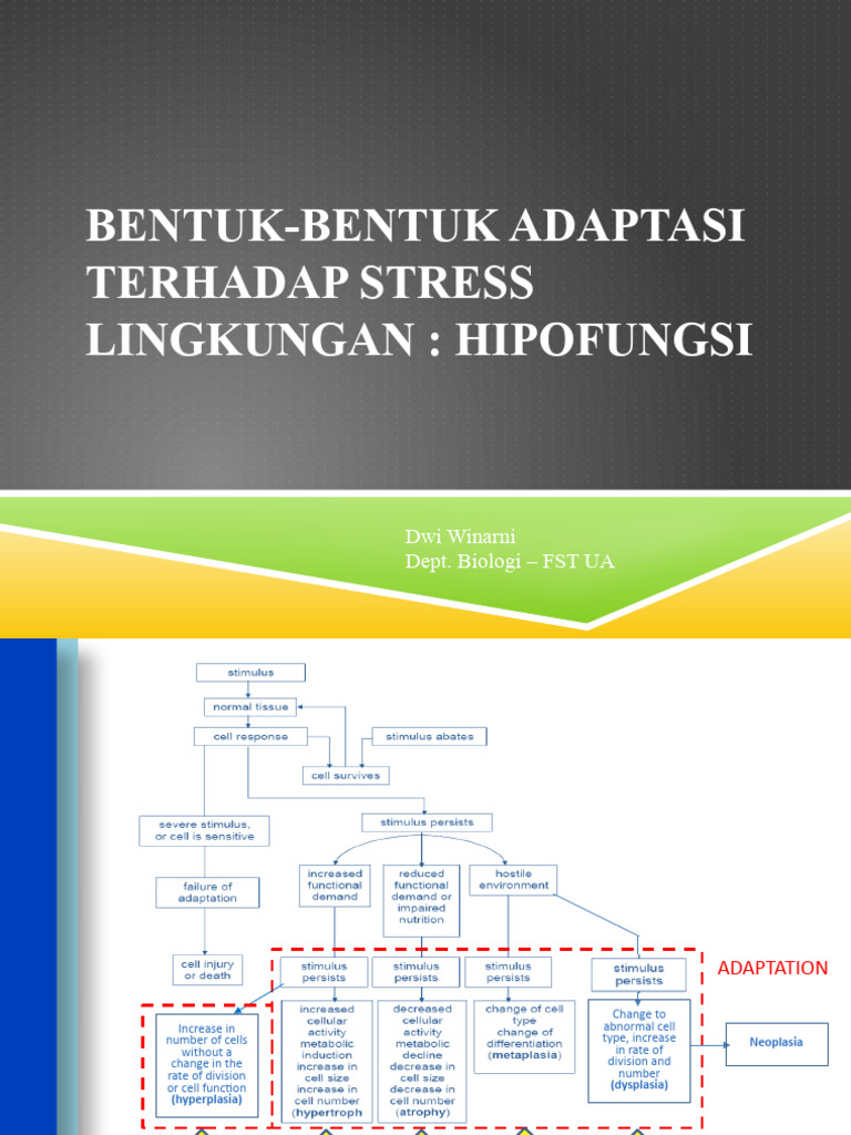Bentuk-Bentuk Adaptasi Terhadap Stress Lingkungan 2014 - HIPOFUNGSI ...