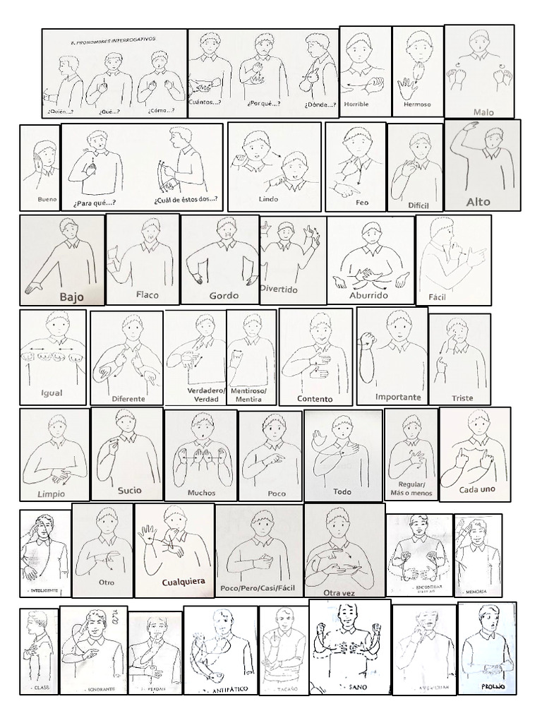 Material Lsa Imprimir | PDF