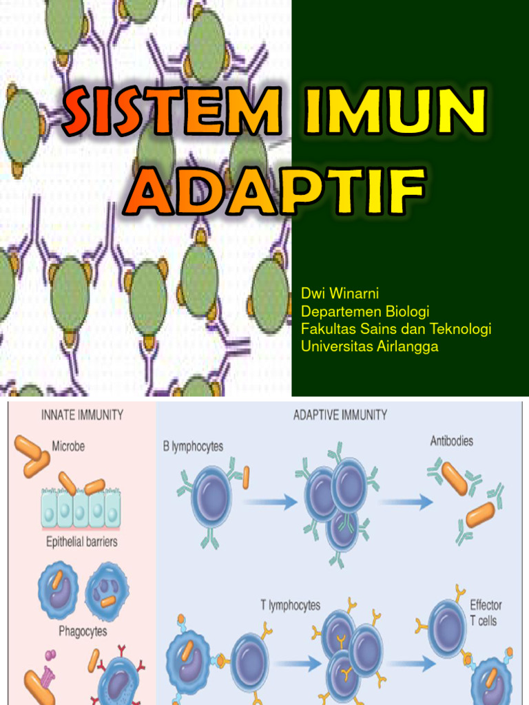 Sistem Imun Adaptif 2015 | PDF