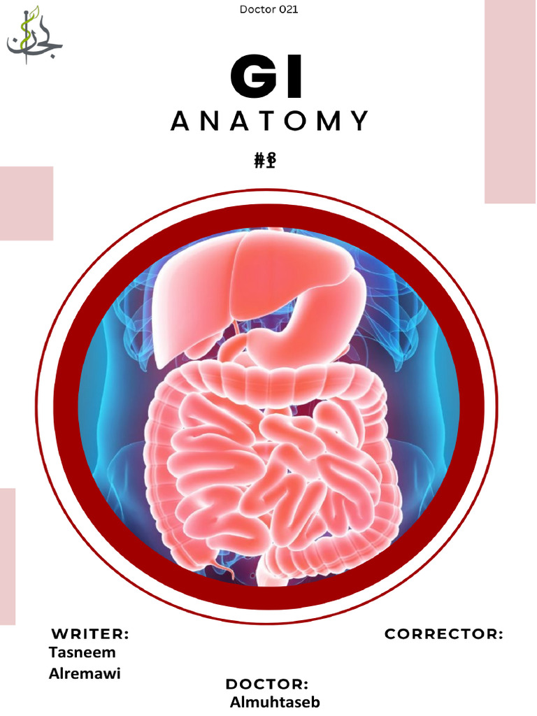 8 3rd | PDF | Small Intestine | Large Intestine