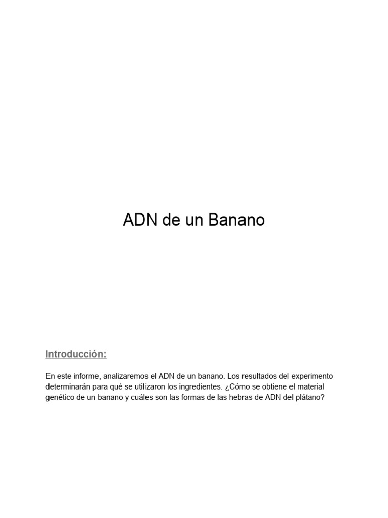 Extracción de ADN de Banano: Proceso y Resultados | PDF | Adn ...