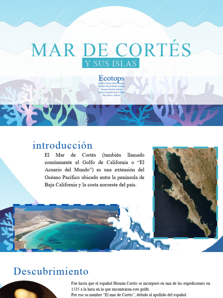 Mar de Cortés - Ecotops | PDF | Entorno natural | Ciencias de la Tierra
