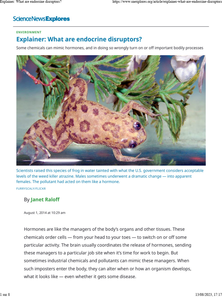 Explainer What Are Endocrine Disruptors Pdf Hormone Biology