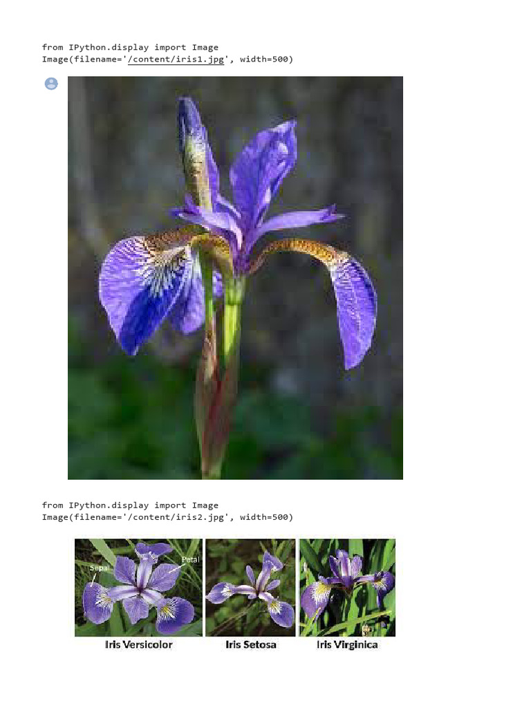 Iris Ipynb Colaboratory Pdf Computing Computer Programming