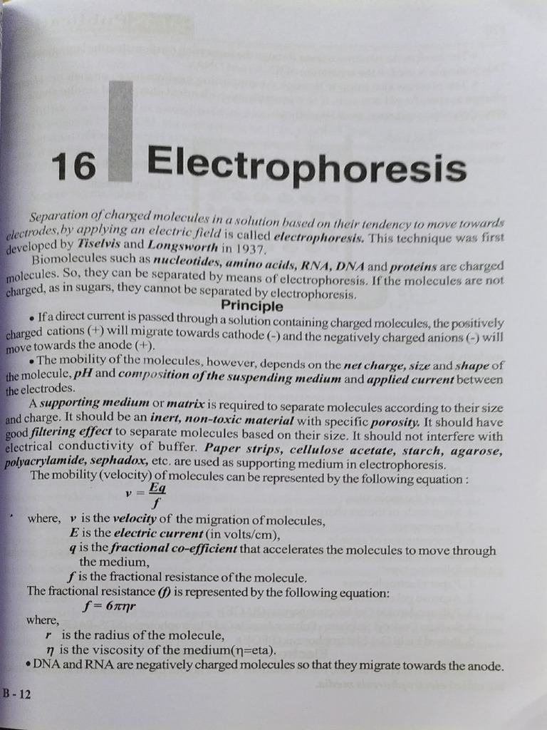 Electrophoresis (MDC) | PDF | Gel Electrophoresis | Agarose Gel ...