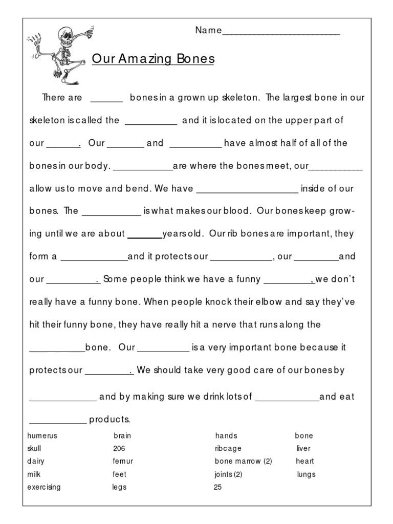 Our Amazing Bones | PDF