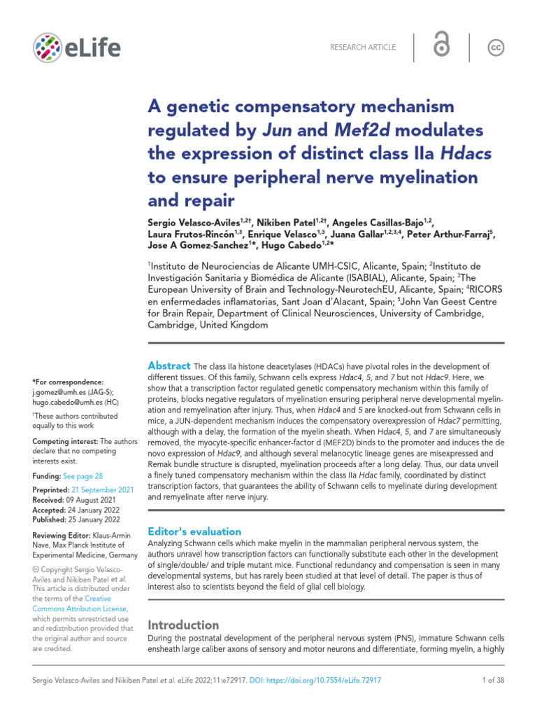 Artigo Agosto 2023 | PDF | Myelin | Nerve