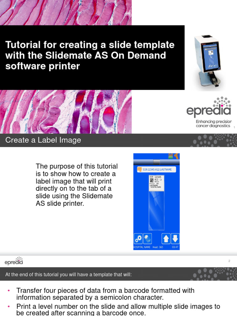 Training Document - SlideMate AS - Tutorial For Creating A S | PDF ...