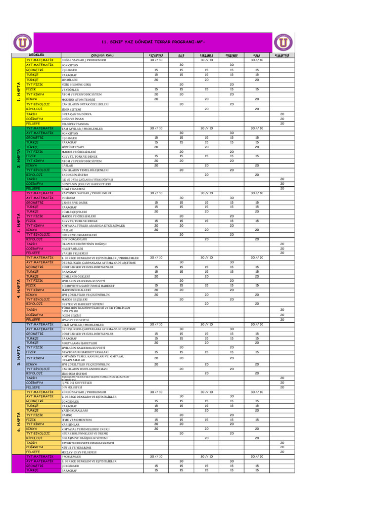 2024 Yaz Tati̇li̇ Tekrar Programi Sayisal | PDF